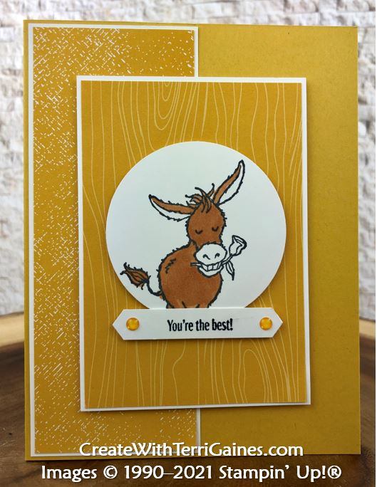 Darling Donkeys Card Samples (video) - Create With Terri Gaines