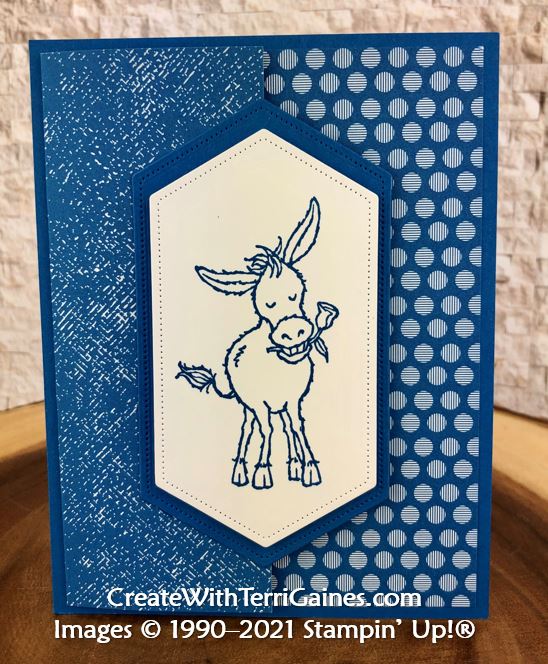 Darling Donkeys Card Samples (video) - Create With Terri Gaines