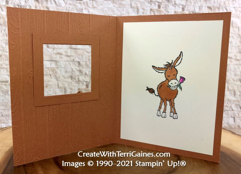 Darling Donkeys Card Samples (video) - Create With Terri Gaines
