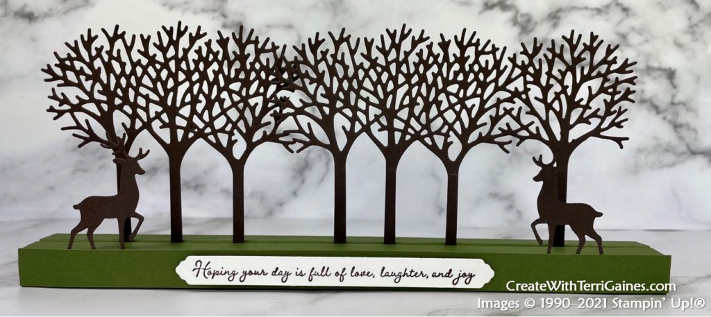 Standing Fun Fold Card (with video) - Create With Terri Gaines