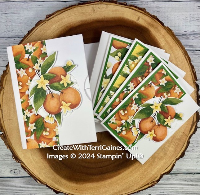 12x12 Cardstock Greeting Card Holder with FREE Project Sheet & Video ...