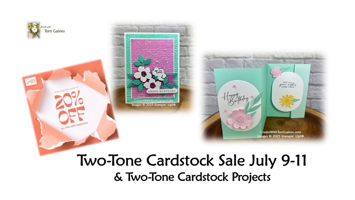 TWO-TONE CARDSTOCK 20% OFF July 9 - 11, 2025... PLUS A Couple Projects ...