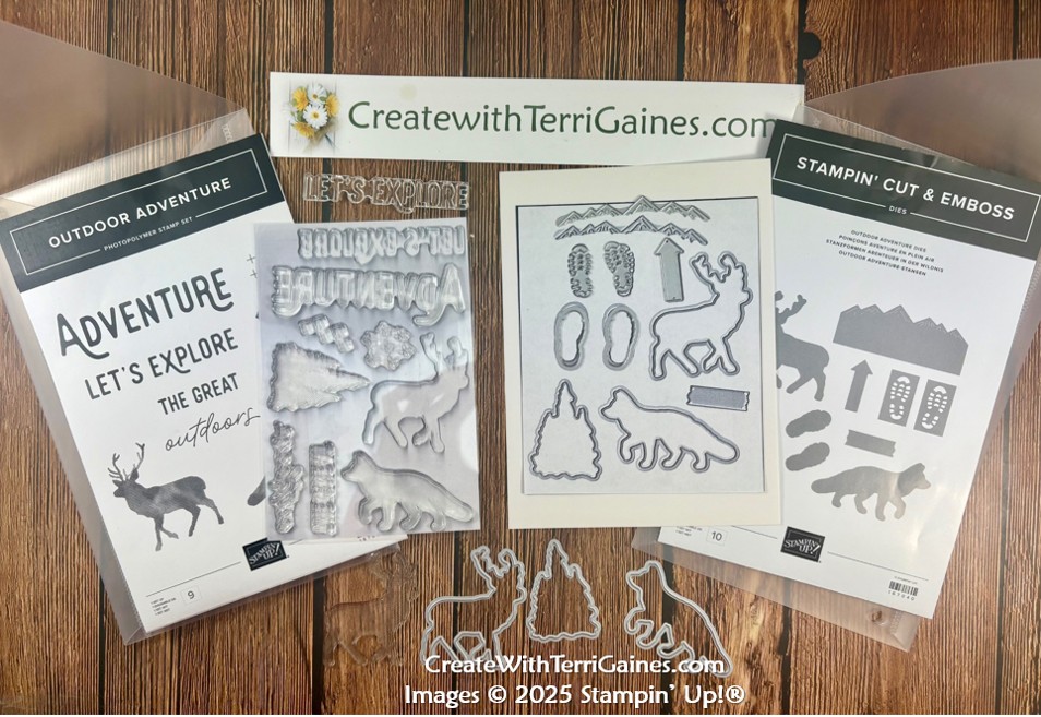 New Stampin' Up! Packaging for Stamp Sets & Dies! Storage Ideas & Tips ...