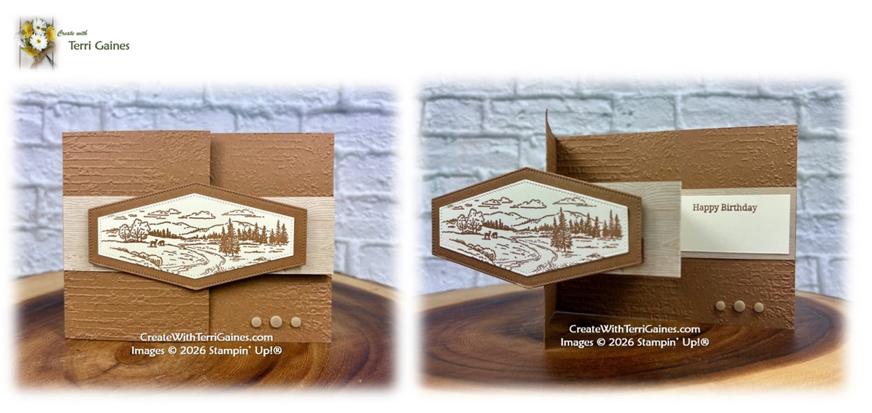Designer Paper Fun Fold Card featuring Far Away Landscapes Stamp Set ...